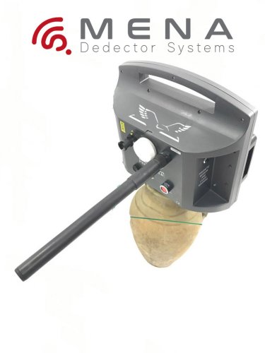 PROTON PROTON ELIC - Mena Detector